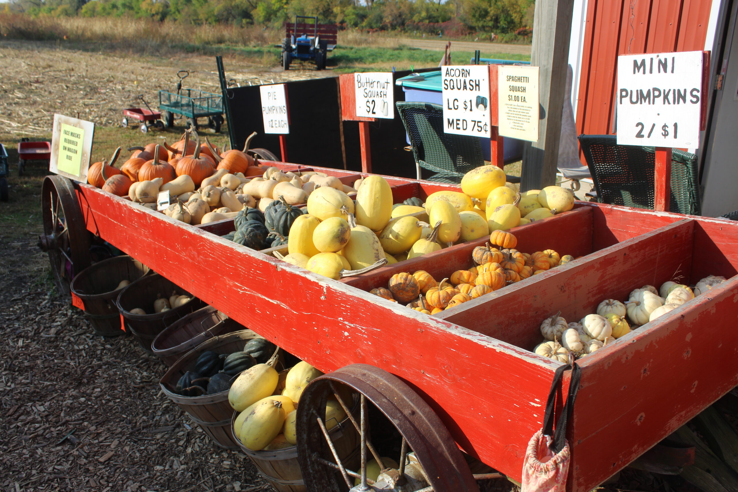 Pictures – Anderson's Pleasant Patch Pumpkins