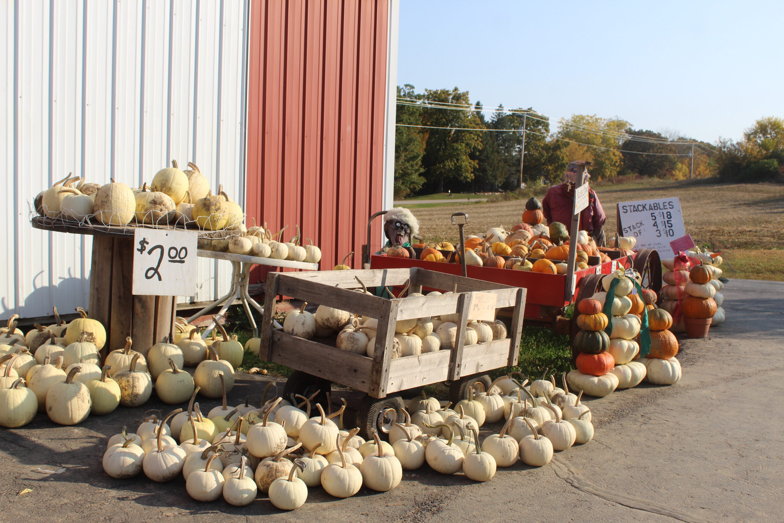 Pictures – Anderson's Pleasant Patch Pumpkins